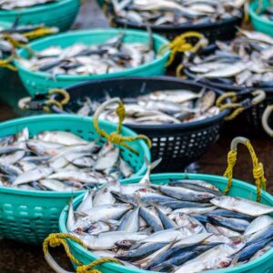 Mastering the Art of Cooking at Sea: Tips, Tricks, and Expert Advice ...